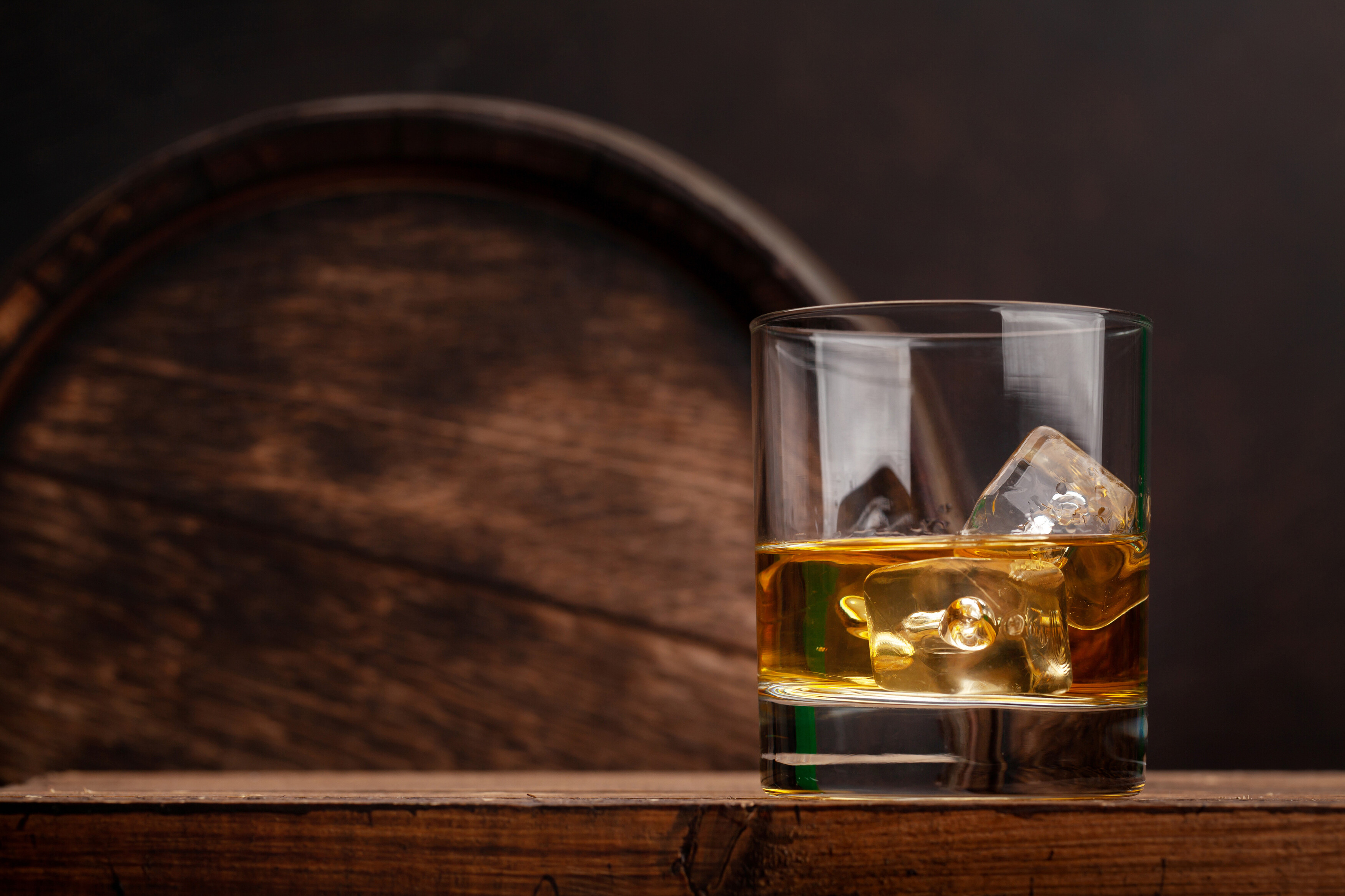 Oak and Oar Specials and Events